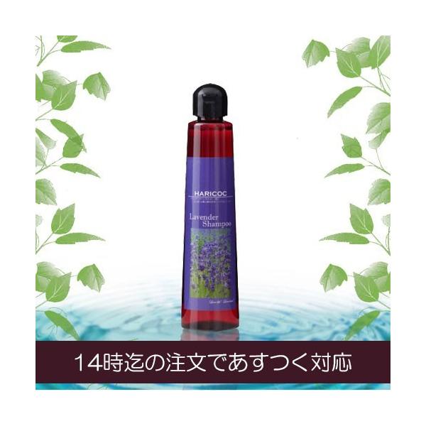 【HARICOC　LVシャンプー】ラベンダーの香りをプラスしたアミノ酸系シャンプー。（さらさらタイプ）香料は使わず、天然のエッセンシャルオイルのみ。シャンプー時にフワッっと香るやさしい香りで髪と五感に癒しを与えます。上質な美容液に配合される...