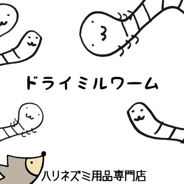　 эММи.Σ　・　・　ゝΣ　 ミ ●ミゝ 　 ＜ はりねずみんみん共和国でーすΣ つ　　　 つ 　Σ|　　　 　) 　し/ ⌒ Ｊ当店はハリネズミ用品の専門店です。「ハリネズミ専用フード（エサ・おやつ）」「コーンリターやポプラチップなど...
