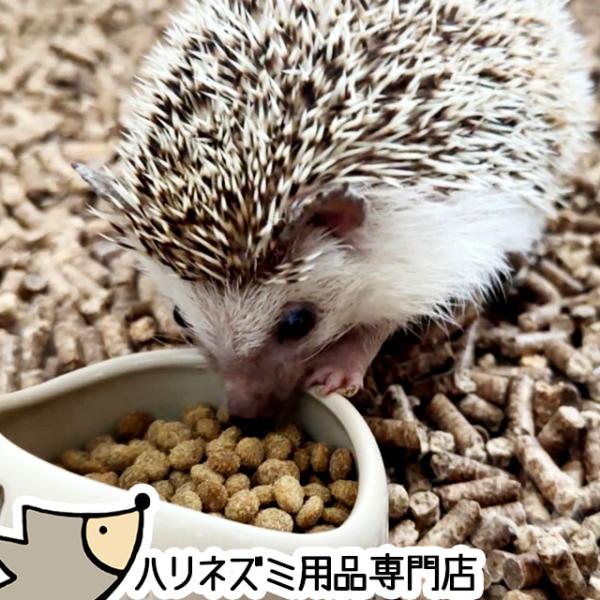 　 эММи.Σ　・　・　ゝΣ　 ミ ●ミゝ 　 ＜ はりねずみんみん共和国でーすΣ つ　　　 つ 　Σ|　　　 　) 　し/ ⌒ Ｊ当店はハリネズミ用品の専門店です。「ハリネズミ専用フード（エサ・おやつ）」「コーンリターやポプラチップなど...