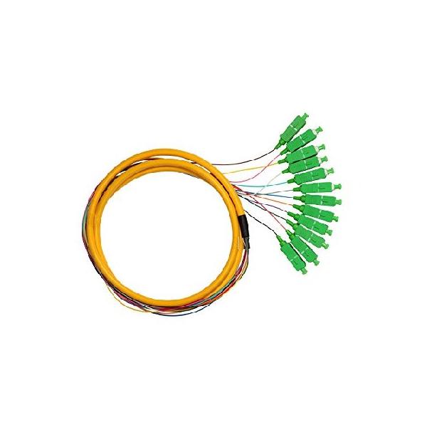 この商品は並行輸入品です。ご注文完了後、1営業日から発送し5から14営業日でのお届けになります。発送時に、配送業者と追跡番号をお伝えいたします。