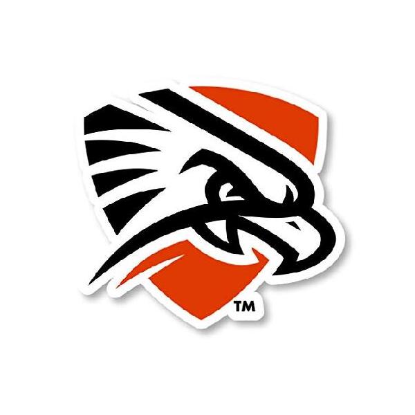 商品情報が足りない場合がございますのでもし、ご質問等がございましたらお気軽にお問い合わせ下さい。この商品は並行輸入品です。ご注文完了後、最短2営業日から発送し5営業日から14営業日でのお届け予定になります。発送時に、配送業者と追跡番号をお伝...