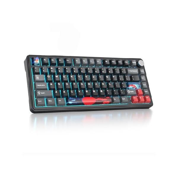 この商品は並行輸入品です。ご注文完了後、1営業日から発送し5から14営業日でのお届けになります。発送時に、配送業者と追跡番号をお伝えいたします。