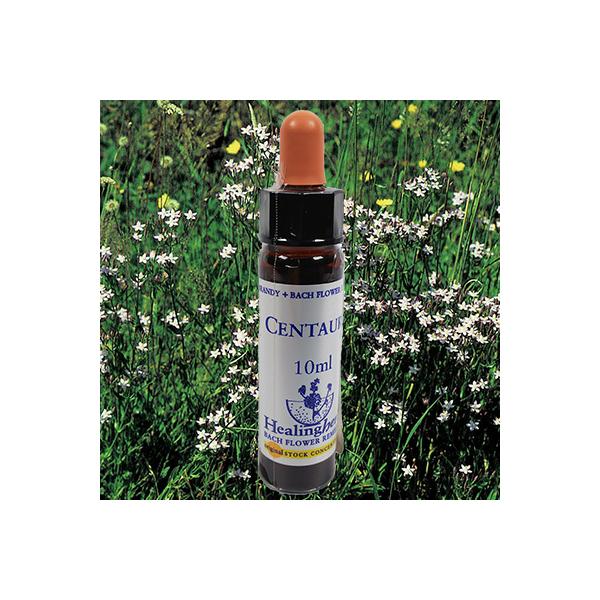 セントーリー　Centaury（セントーリー の花）(＋)正しく明るい勇気/自分の使命の自覚(ー)ノーと言えない・意志が弱い＊花のメッセージノーと言える自分＊こんな方にオススメ優しく控えめで、人から何か頼まれると嫌といえなかったり、他人に気...