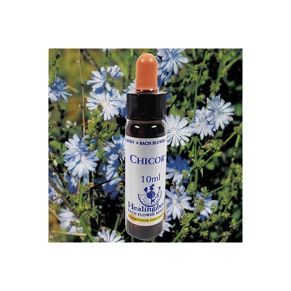 チコリー　Chicory（キクニガナの花）(＋)母性的で無条件の愛/安定した気遣い(ー)所有欲・見返りを求める愛＊花のメッセージ献身的な愛＊こんな方にオススメ人の世話をやくのが好き・親分肌で自分の気に入った人を傍におき支配的になっている。家...