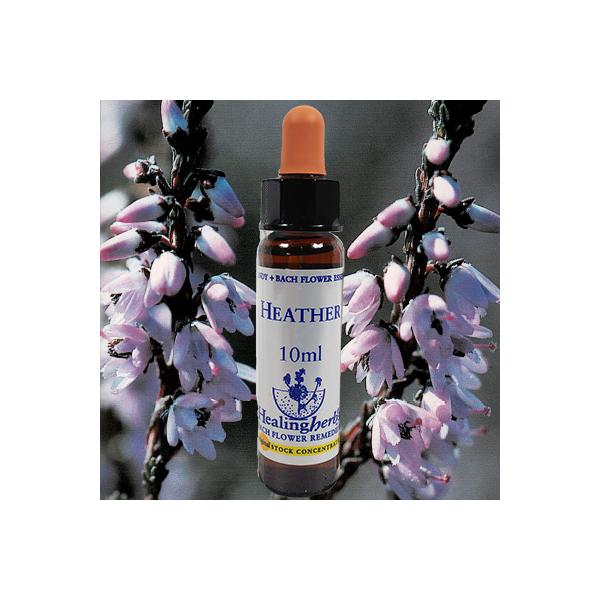ヘザー　Heather（エリカの花）(＋)聞き上手/思いやり(ー)自分が主人公・おしゃべり＊花のメッセージ話し上手・聞き上手＊こんな方にオススメ誰かと話をしないと落ち着かない人、でも他人の話を聞くのではなく自分の事を話したい。ですので自分の...