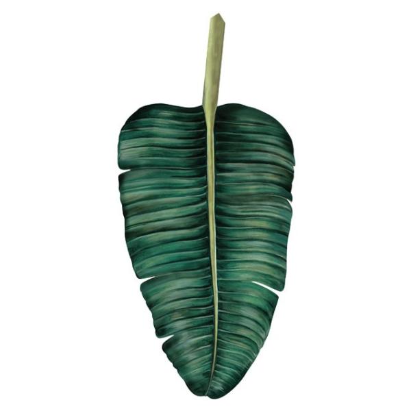 簡単にお部屋に立体感とナチュラル感を生み出すリーフデコレーション。壁などに固定すると、自然に葉が垂れるように曲がります。インテリアの引き立て役として、コーディネートの幅も広がりそう♪● サイズ： 23x50cm● 素材： ポリエステル系合成...