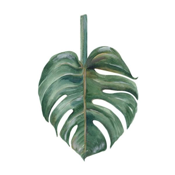 簡単にお部屋に立体感とナチュラル感を生み出すリーフデコレーション。壁などに固定すると、自然に葉が垂れるように曲がります。インテリアの引き立て役として、コーディネートの幅も広がりそう♪● サイズ： 28x42cm● 素材： ポリエステル系合成...