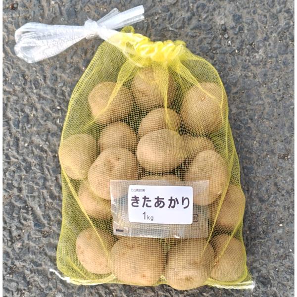 ※こちらの商品は、他の商品と同梱不可　ほかの【たね馬鈴薯】と同梱はOKです※運送便指定不可※こちらの商品は、【納品書無し】となります　ご入用の際は、注文履歴→注文詳細→領収証を発行する より、発行印刷お願い致します。良質な畑作用ばれいしょ種...