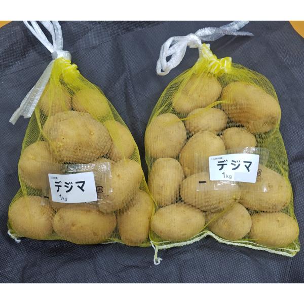 ※こちらの商品は、他の商品と同梱不可　ほかの【たね馬鈴薯】と同梱はOKです※運送便指定不可※こちらの商品は、【納品書無し】となります　ご入用の際は、注文履歴→注文詳細→領収証を発行する より、発行印刷お願い致します。良質な畑作用ばれいしょ種...