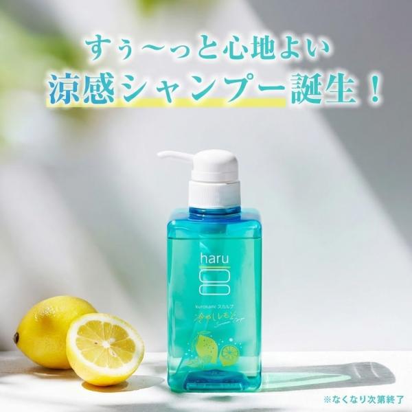 リンス不要！シンプルリッチな100％天然由来のアミノ酸ノンシリコンシャンプー　頭皮のケアでハリ・コシ実感！思わず深呼吸したくなる香りで毎日のおふろ時間を贅沢に。シャンプー ノンシリコン アミノ酸 ボタニカル リンス不要 ダメージ補修 ヘアケ...