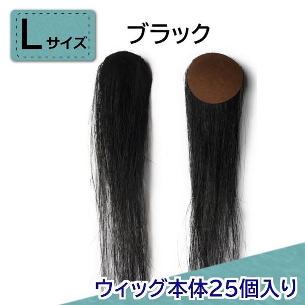 円形脱毛症　隠す　ウィッグ　チュールキュア　Lサイズが新登場　本体25個入り　低刺激専用シール30回分　予備含む　円形脱毛部分が直径3cmから3.4cm対応　商品の長さ約13ｃｍ　本体の毛を6ｃｍまでカット可　円形脱毛症の　隠し方　隠す方法...