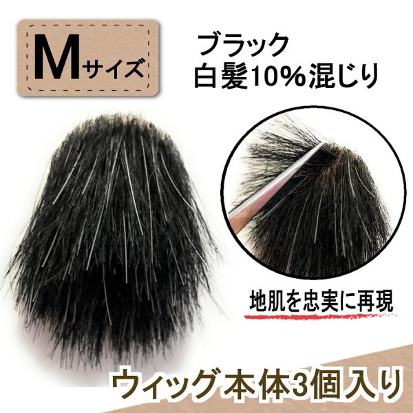 白髪　短髪 刈り上げ用 側面 後頭部タイプ　ブラック　本体3個入 低刺激かつら用専用シール40個 予備含む 白髪10パーセント混じりタイプ円形脱毛部分が直径2.5cm 10円硬貨大サイズから2.7cm　500円硬貨大サイズ対応　商品の毛の長...