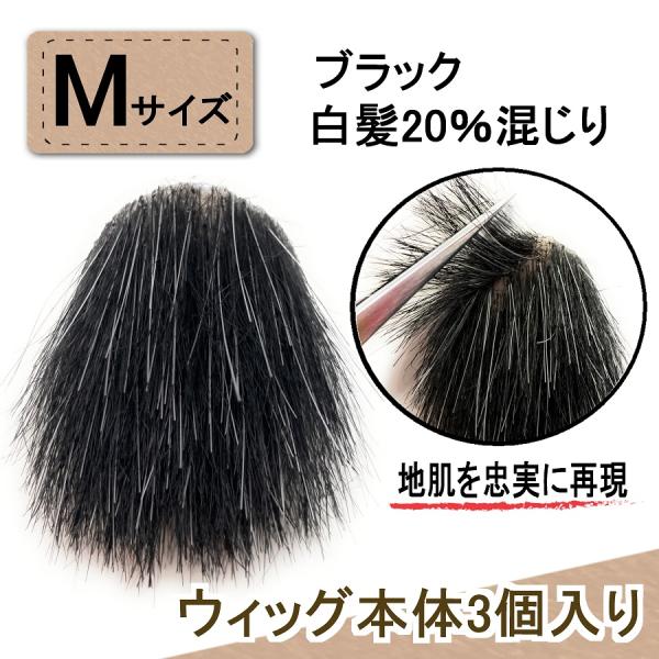 【発売日：2026年07月01日】白髪　短髪 刈り上げ用 側面 後頭部タイプ　ブラック　本体3個入 低刺激かつら用専用シール40個 予備含む 白髪20パーセント混じりタイプ円形脱毛部分が直径2.5cm 10円硬貨大サイズから2.7cm　50...