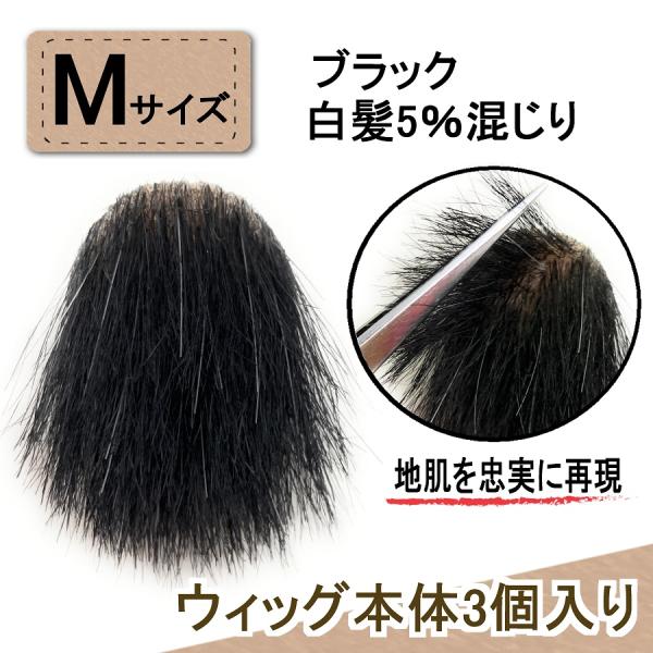 白髪　短髪 刈り上げ用 側面 後頭部タイプ　ブラック　本体3個入 低刺激かつら用専用シール40個 予備含む 白髪5パーセント混じりタイプ円形脱毛部分が直径2.5cm 10円硬貨大サイズから2.7cm　500円硬貨大サイズ対応　商品の毛の長さ...