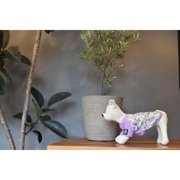 ★ギフトラッピング承ります。大切なギフトでお送りする方向けに無料でギフトラッピングを承っています。ご購入時に備考欄に「ギフトラッピング希望」と記載いただければラッピングした状態でお届けします。超小型犬 小型犬 中型犬 に対応しています。愛犬...