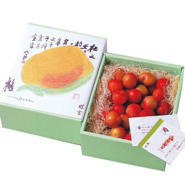 【発売日：2022年01月01日】内容　　　：すもも（約1000g）お届け時期：7月中旬〜8月上旬生産地　　：山梨賞味期限　：出荷から5日（お早めにお召し上がりください。）保存方法　：冷蔵保存期間外のご注文に関してはご予約扱いとさせていただ...