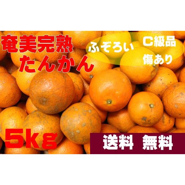L〜2Lサイズ混合商品です。見た目は悪いですが…味は甘味も酸味も濃厚でジューシー訳あり、傷あり、ご家庭向けのタンカンです。もちろん味は正規品と変わりはございませんので大変お買得です。ご家庭用としてたっぷりお召し上がりください「奄美タンカン」...