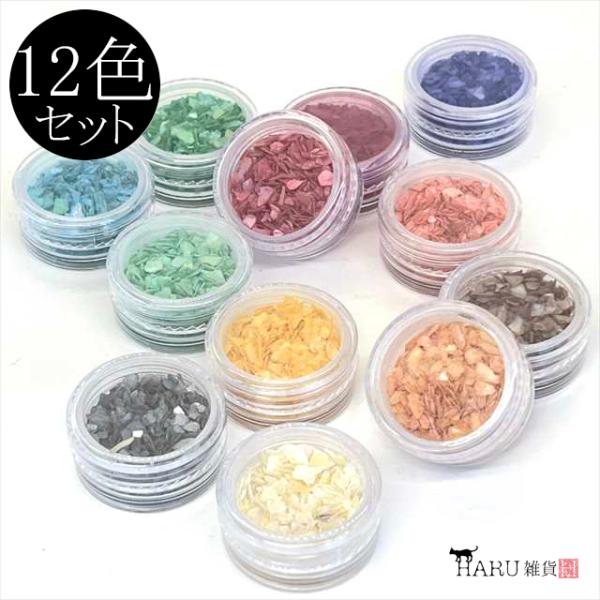 【発売日：2024年11月29日】・ジェルネイルやアクセサリーのデコパーツとして汎用性抜群のシェルフレーク！夏だけでなくオールシーズン使える万能アイテムのシェルパウダーが12色のセットです！・天然の貝殻に着色した特有の光沢感！様々な色を組み...
