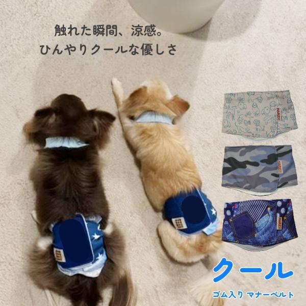 夏の暑さに対応した「Harzth ハーズ クール ゴム入りマナーベルト」愛犬の快適さを考慮した設計で、通気性と動きやすさを兼ね備えています。このマナーベルトは、特に小型犬から中型犬、さらにはシニア犬にも適しており、散歩時やドッグランでの使用...