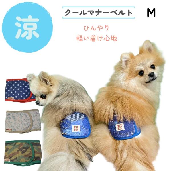 夏の暑さに対応するための「Harzth ハーズ クール マナーベルト」小型犬から中型犬、さらにはシニア犬まで幅広く対応する冷感機能付きの犬用マナーベルトです。このマナーベルトは、特に夏場の散歩やドッグランでの使用に最適で、犬が快適に過ごせる...