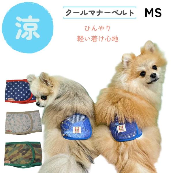 夏の暑さに対応するための「Harzth ハーズ クール マナーベルト」小型犬から中型犬、さらにはシニア犬まで幅広く対応する冷感機能付きの犬用マナーベルトです。このマナーベルトは、特に夏場の散歩やドッグランでの使用に最適で、犬が快適に過ごせる...