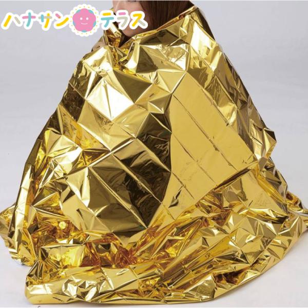 災害 簡易毛布 掛布団 着る毛布 太陽光 熱遮断 防水効果 災害備蓄用防災グッズ リバーシブル 防災シート ELPA アルミ蒸着フィルム 簡易毛布 備蓄用 防災用品 避難所 学校 オフィス 非常用 災害 緊急用 必需品 備蓄品 学校 会社 ...