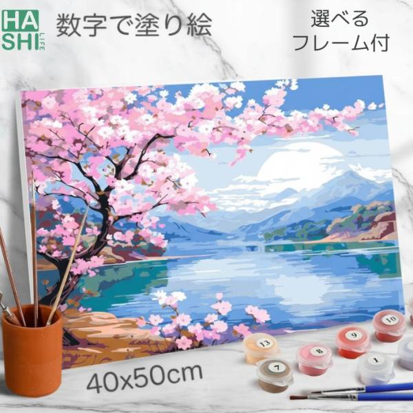 付属のアクリル絵具で数字のとおりに色を塗るだけ。仕上がりは油絵風の本格絵画の完成。「湖畔の桜」完成目安：平均1-4週間(個人差大）■含まれるもの・数字が印刷されたキャンバス１枚 40x50cm・筆３本・アクリル絵具・壁がけ用フックとネジ・印...