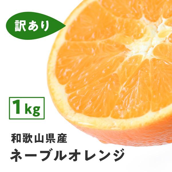 ◆ご注意下さい◆北海道は別途送料2,500円が必要です。ご注文確定後当店で送料プラス2,500円に変更させて頂きます。7,560円以上商品をお買い求めいただいた場合でも送料無料となりませんのでご注意下さい。みかんの産地和歌山県からお届けする...