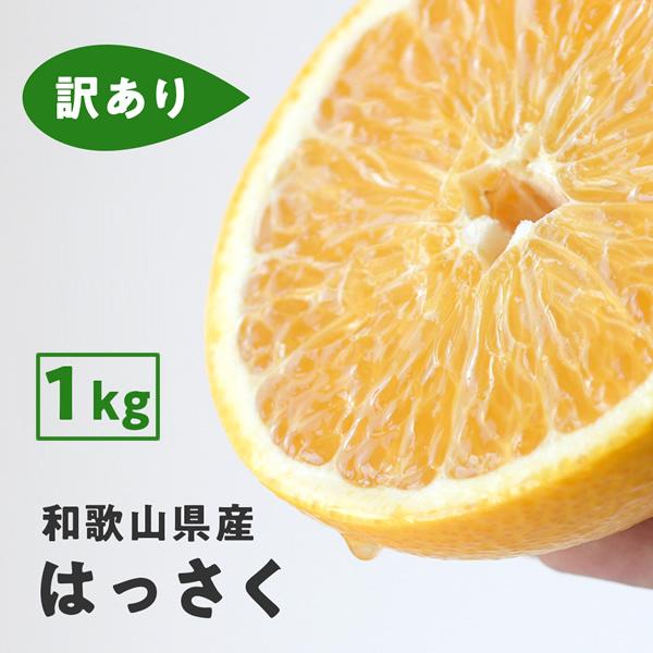 ◆ご注意下さい◆北海道は別途送料2,500円が必要です。ご注文確定後当店で送料プラス2,500円に変更させて頂きます。7,560円以上商品をお買い求めいただいた場合でも送料無料となりませんのでご注意下さい。みかんの産地和歌山県からお届けする...