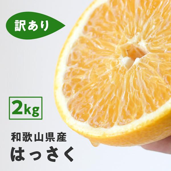 ◆ご注意下さい◆北海道は別途送料2,500円が必要です。ご注文確定後当店で送料プラス2,500円に変更させて頂きます。7,560円以上商品をお買い求めいただいた場合でも送料無料となりませんのでご注意下さい。みかんの産地和歌山県からお届けする...