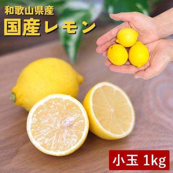 ◆ご注意下さい◆北海道は別途送料2,500円が必要です。ご注文確定後当店で送料プラス2,500円に変更させて頂きます。7,560円以上商品をお買い求めいただいた場合でも送料無料となりませんのでご注意下さい。和歌山県産のレモン。    愛情を...