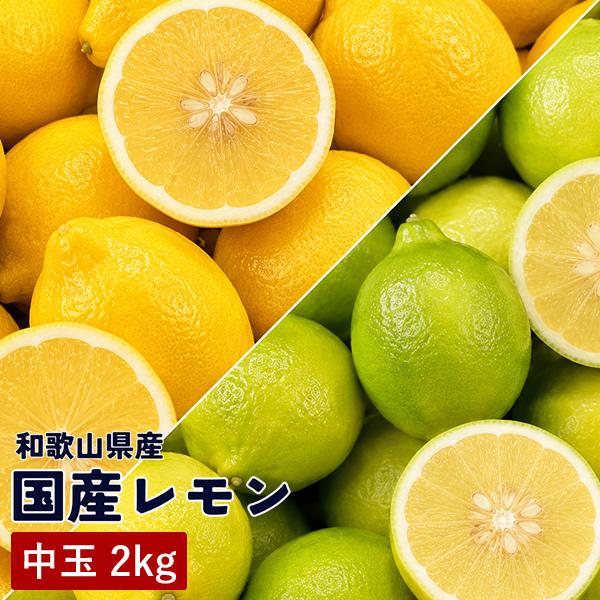 ◆ご注意下さい◆北海道は別途送料2,500円が必要です。ご注文確定後当店で送料プラス2,500円に変更させて頂きます。7,560円以上商品をお買い求めいただいた場合でも送料無料となりませんのでご注意下さい。和歌山県産のレモン。    愛情を...