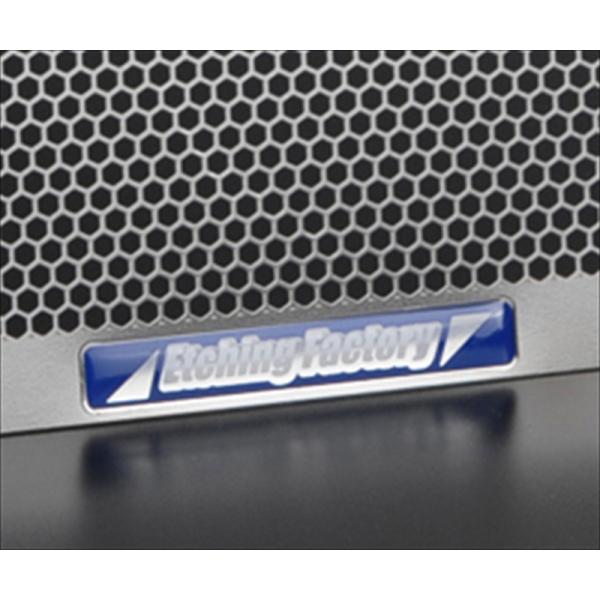 ■メーカー名：ETCHING FACTORY(エッチングファクトリー)■メーカー品番：RGS-GSXR1100-00■JAN：4548916338283■適合車種：スズキ[SUZUKI] GSX-R1100 [油冷] 90-92■カテゴリ：...