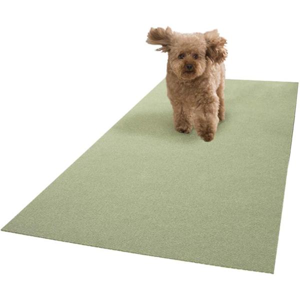 【発売日：2025年01月15日】●サイズ:フラットタイプ 60×120cm●色:グリーン●材質 アクリル●色 グリーン●対象ユーザー 犬●ブランド おくだけ吸着●商品のお手入れ方法 手洗いのみ●パターン 無地●ターゲット種 ウサギ●ペット...
