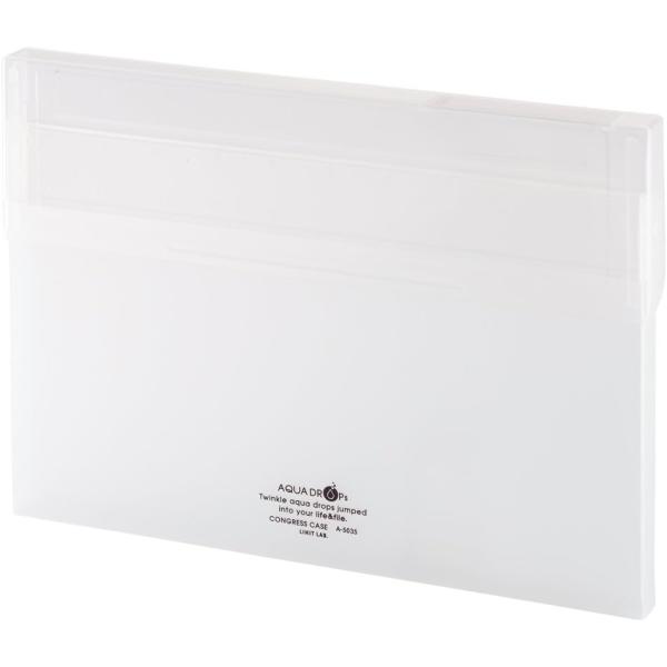 【発売日：2025年01月15日】●色:乳白●スタイル:薄型●色:乳白●スタイル:薄型●ブランド:リヒトラブ(Lihit lab.)●シートサイズ:A4●ポケット数:1●製品型番:A5035-1●サイズ:薄型●用紙サイズ:A4●付属品:無し...