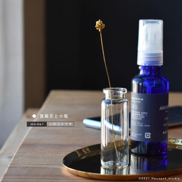 ●サイズ【メタルプランツサイズ】シロツメクサ：(約)0.6cm×長さ11.0cm【花瓶サイズ】(約)直径2.2cm×長さ6.0cm●組成メタルプランツ：真鍮花瓶：ガラス●生産地日本製●商品説明・生花やドライフラワーとはまた異なる魅力を兼ね備...