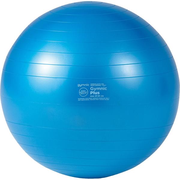 ダンノ DANNO ギムニクカラーボールPLUS 65 ブルー 青 ギムニク ギムニクボール バランスボール ながら運動 バランストレーニング 体幹トレーニング 体幹 筋トレ  D5422B　体ほぐし運動の必需品!楽しく遊び感覚で、全身の筋...