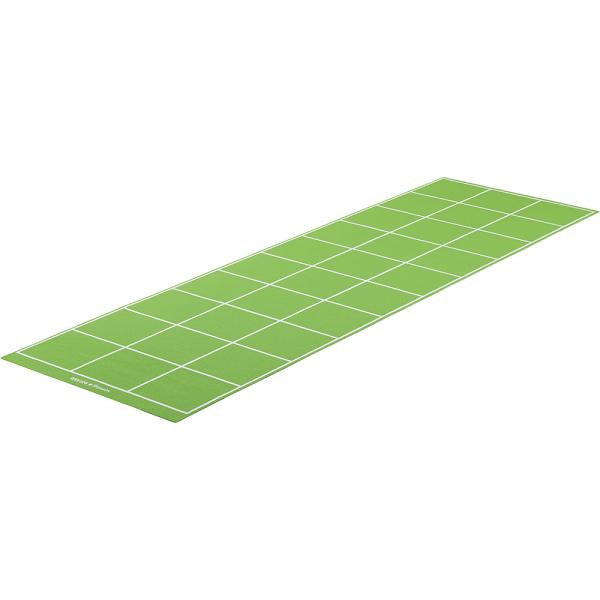 ダンノ DANNO ラダーシートDX トレーニングラダー はしご 子供 キッズ 大人 安全 瞬発力 運動神経 トレーニング 体育 部活 アップ サッカー バスケ 野球  D7216　滑りにくいマットで簡単にラダートレーニングが出来ます。