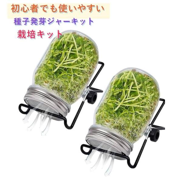 大型広口 種子発芽ジャーキット ブロッコリー ブロッコリースプラウト 種子発芽成長キット アルファルファ豆 スプラウト栽培キット 種子発芽ジャーキット