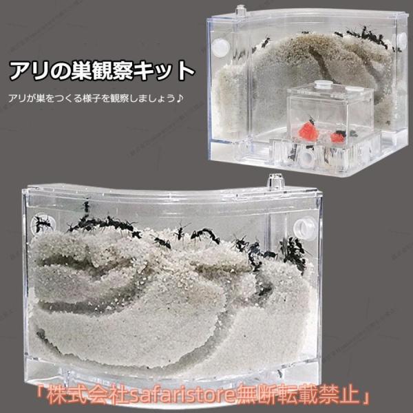 アリの巣 あり観察キット 飼育ケース 砂 自由研究 小学生 あり 蟻 飼育セット 実験セット 観察 夏休み 学習用 使いやすい すっきり収納 おすすめ