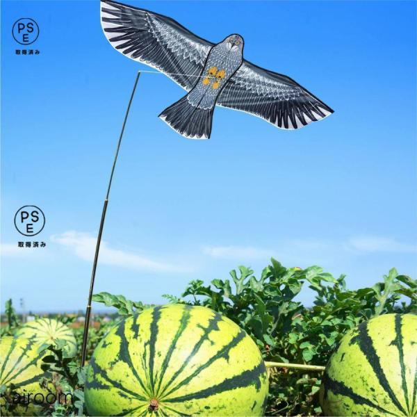鳥よけ カイト 鷹 (ポール竿付) 軽量丈夫 防鳥具 鳥追い 畑 植物保護 農業用 カイト鷹 1.5m凧 1.8mポール