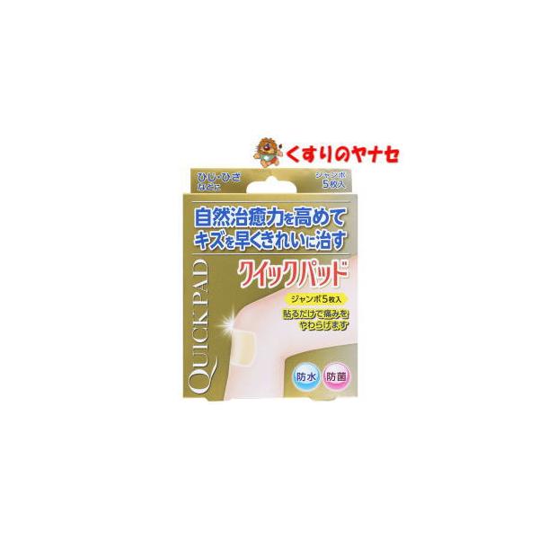 【メール便対応】クイックパッド ジャンボサイズ　5枚入