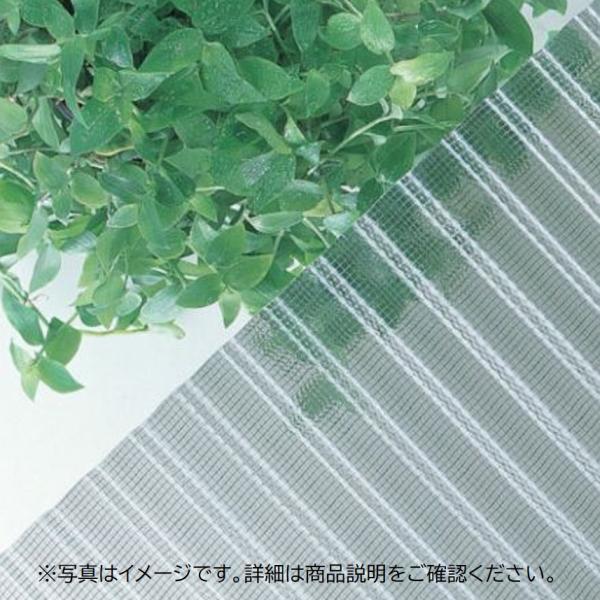 【店舗受取専用商品】※発送不可　※店頭受取時は送料無料ガラスネット入り硬質塩化ビニル製波板です。幅広い分野の屋根や明かり採りにも好適です