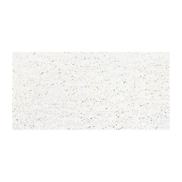 【店舗受取専用商品】※発送不可　※店頭受取時は送料無料大建工業 天井材