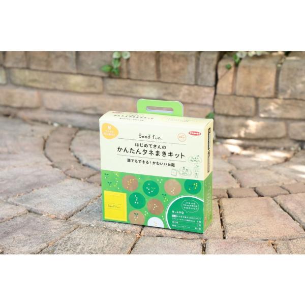 キットとタネ（別売）で簡単タネまき、おうちの中で清潔管理