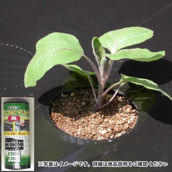 カラー：黒サイズ：0.025mm×95cm×50M