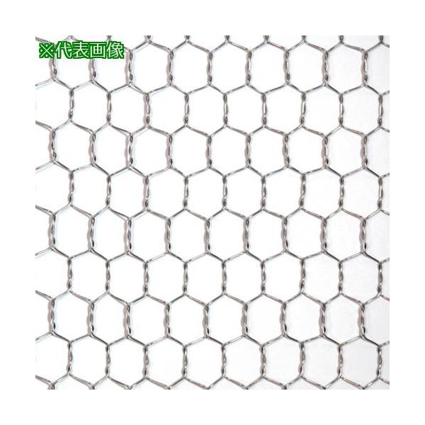 《メーカー》（株）ダイドーハント《品番》10160252《特長》●隣接する2本の線が捻り合わさって亀甲状に六角に網目を形成した金網です。●線の一部が破断しても破断部が裂け広がりづらい特性を持ち、軽量で目動きが少なく加工が簡単です。●ステンレ...