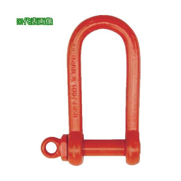《メーカー》大洋製器工業（株）《品番》TSLS-1.25《特長》●従来の強力長シャックルとねじ込みシャックルの融合タイプです。《用途》●荷役作業・矢板の引き抜きに。《仕様》●基本使用荷重(t):1.25●L1(mm):110●寸法(mm)B...