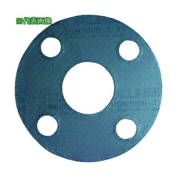 《メーカー》クリンガー社《品番》PSM-10K-100A《特長》●熱サイクルのある環境下で威力を発揮します。●表面に固着防止・防食加工が施されています。●アスベストを含有しない膨張黒鉛シートです。●補強のため、厚さ0.1mmのステンレス爪付...