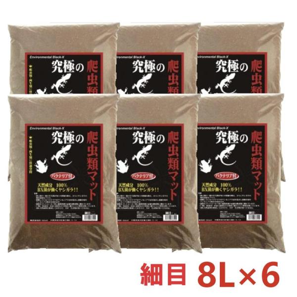 バクテリア付き！天然成分100％のヤシガラとBX菌で優れた脱臭効果を発揮する爬虫類マットほぼ粉末状態なのでトカゲなどの飼育にも使用しやすいです。納豆菌の一種のBX菌が匂いの増加を抑え、さらにヤシガラの脱臭効果もプラス。休眠しているバクテリア...